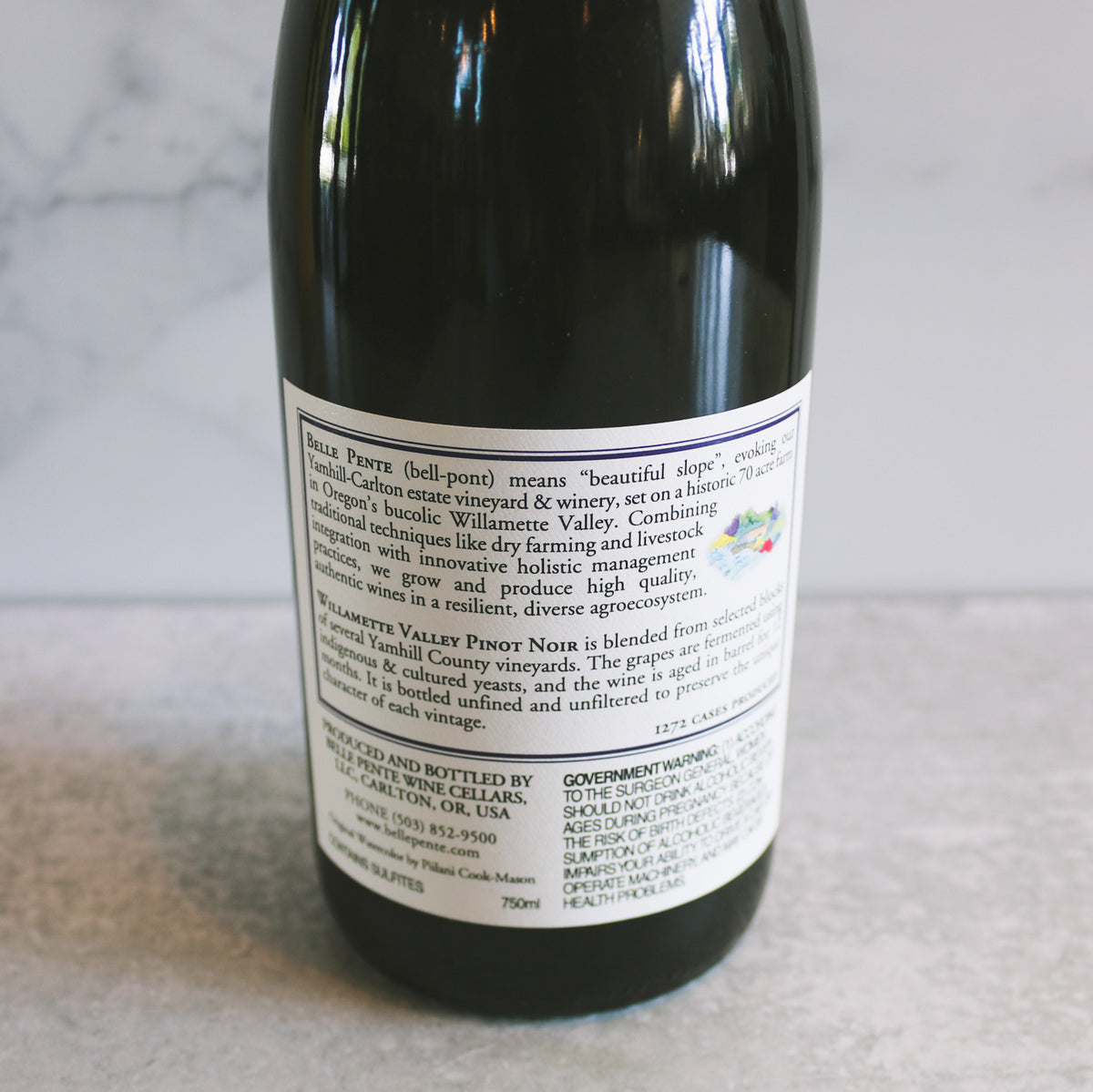 Belle Pente Willamette Valley Pinot Noir – TASTE.online